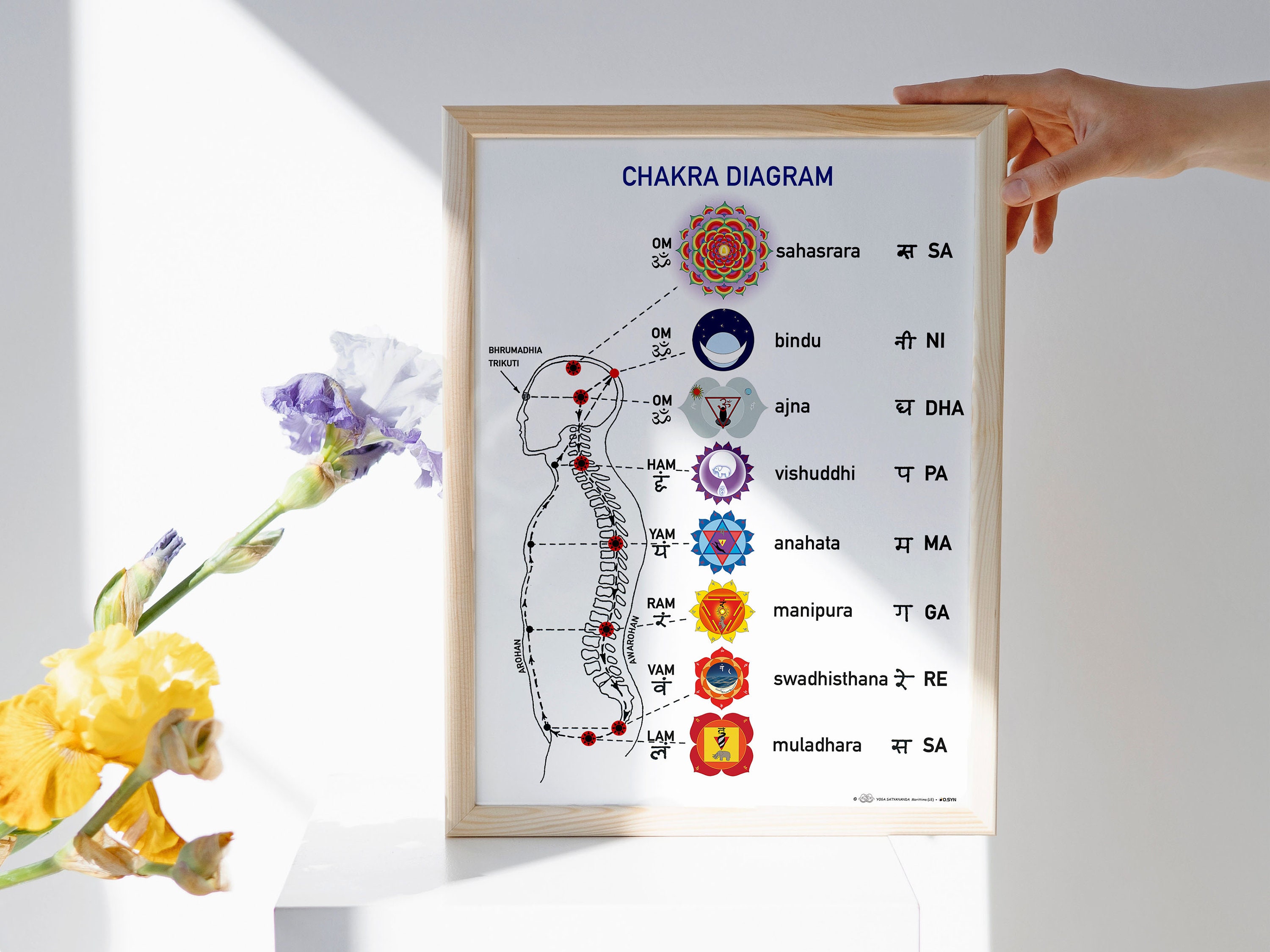 Chakras Diagram Poster, Chakra Gift, Wall Art, Home Studio Decor ...