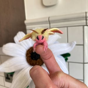 Rosey Maple Moth, Moth Figurine, Decoration, Needle Felted, Realistic ...