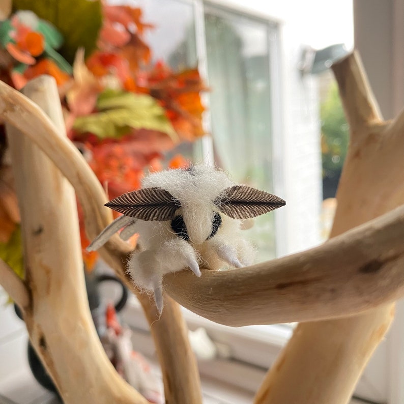 Needle Felted Tolype Moth Figurine: Handmade Posable Moth Decoration - Etsy