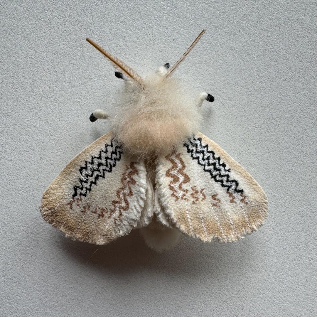 Black Waved Flannel Moth , Needle Felted, Moth Figurine, Decoration ...