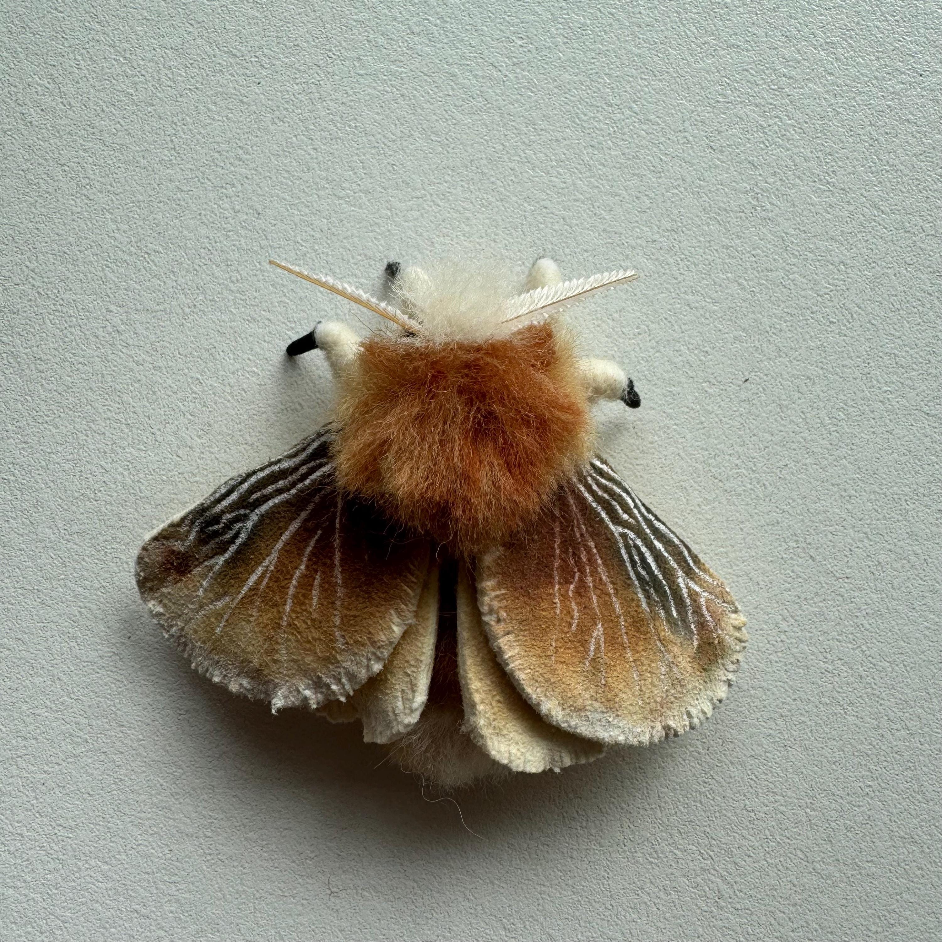 Needle Felted Southern Flannel Moth Figurine: Posable Wool Decoration ...