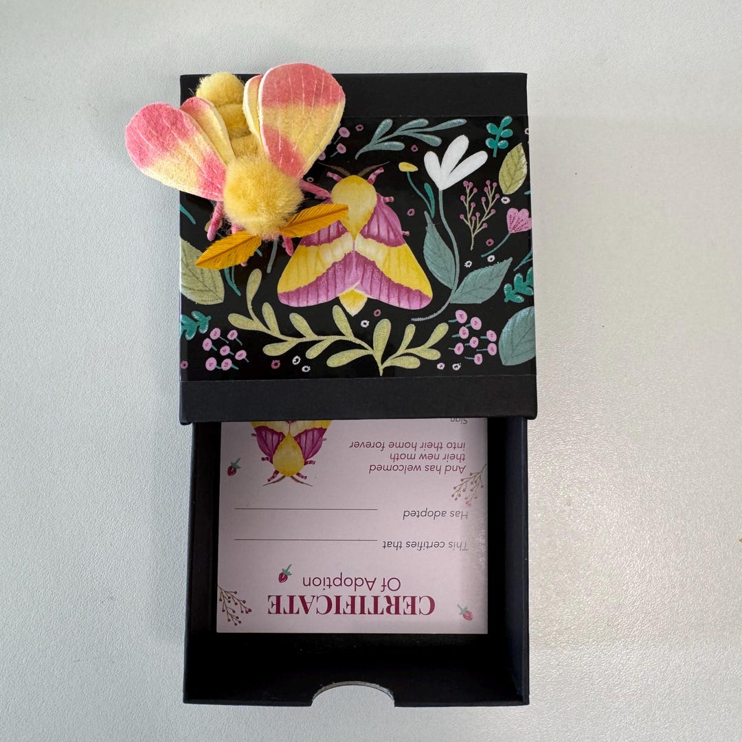 Flutter Box, Needle Felted Moth, Gift, in a Box, Adopt Me, Plush ...