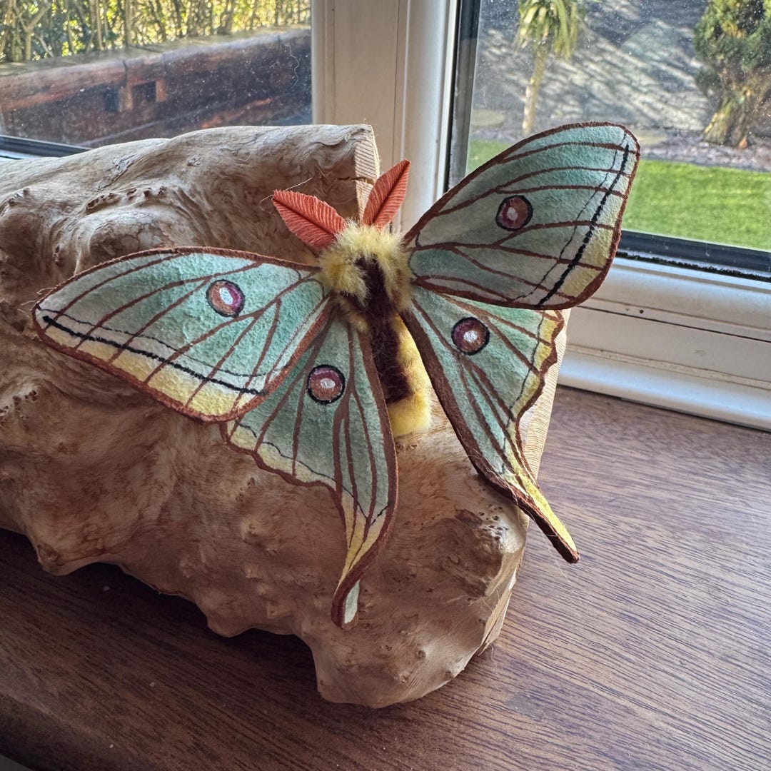 Spanish Moon Moth, Needle Felted, Moth Figurine, Decoration, Handmade ...
