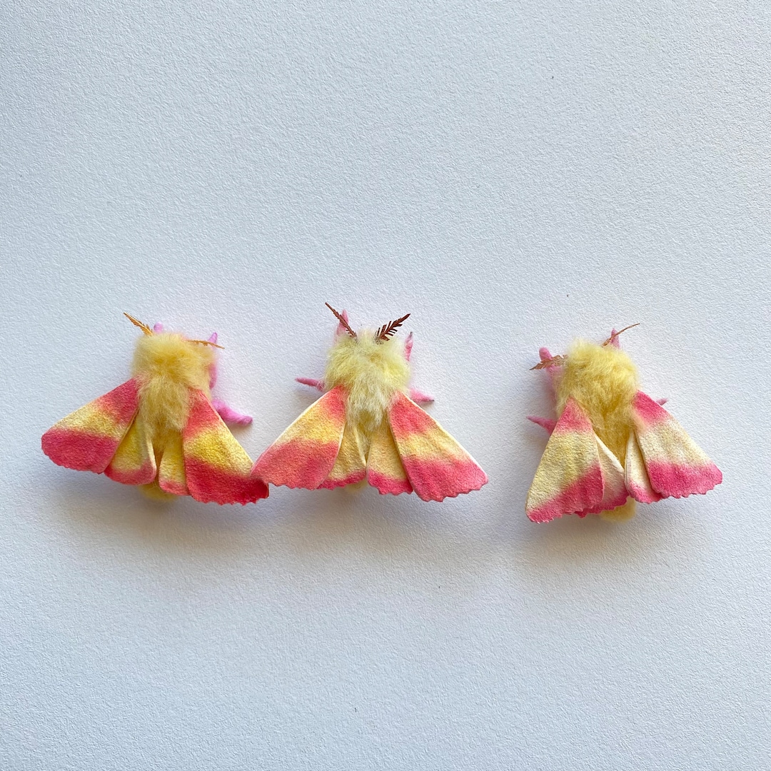 Rosey Maple Moth, Moth Figurine, Decoration, Needle Felted, Realistic ...