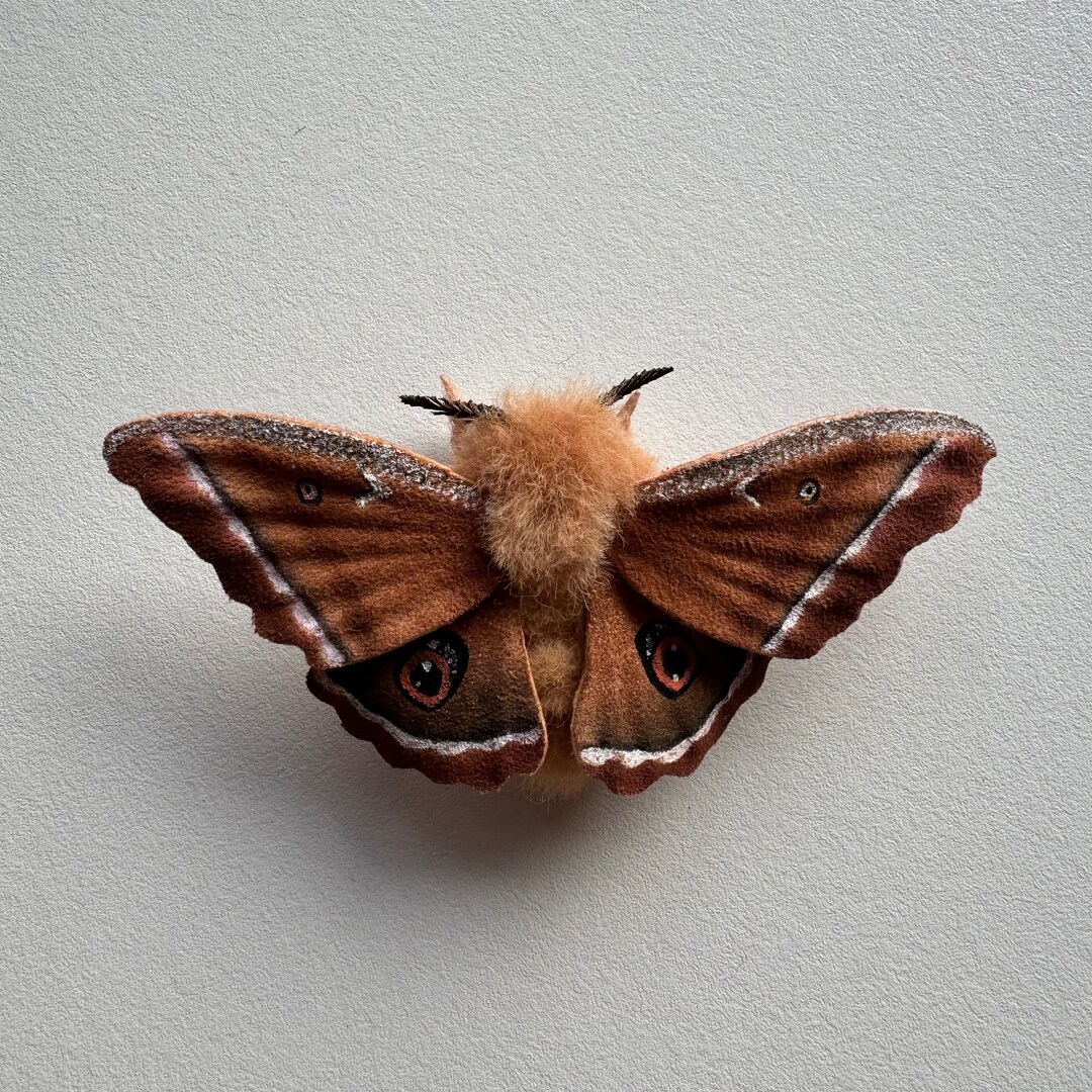 Polyphemus Moth, Needle Felted, Moth Figurine, Decoration, Handmade ...