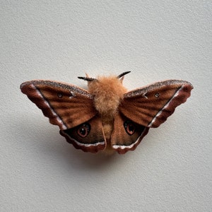 Polyphemus Moth, Needle Felted, Moth Figurine, Decoration, Handmade ...