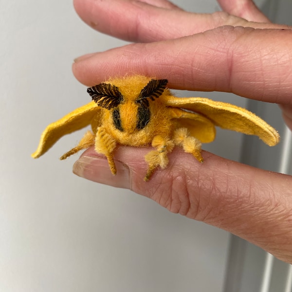 Poodle Moth Plush - Etsy