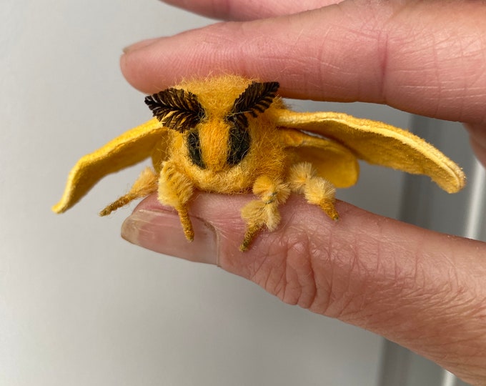 Ice Cream Moth Plushies - Etsy