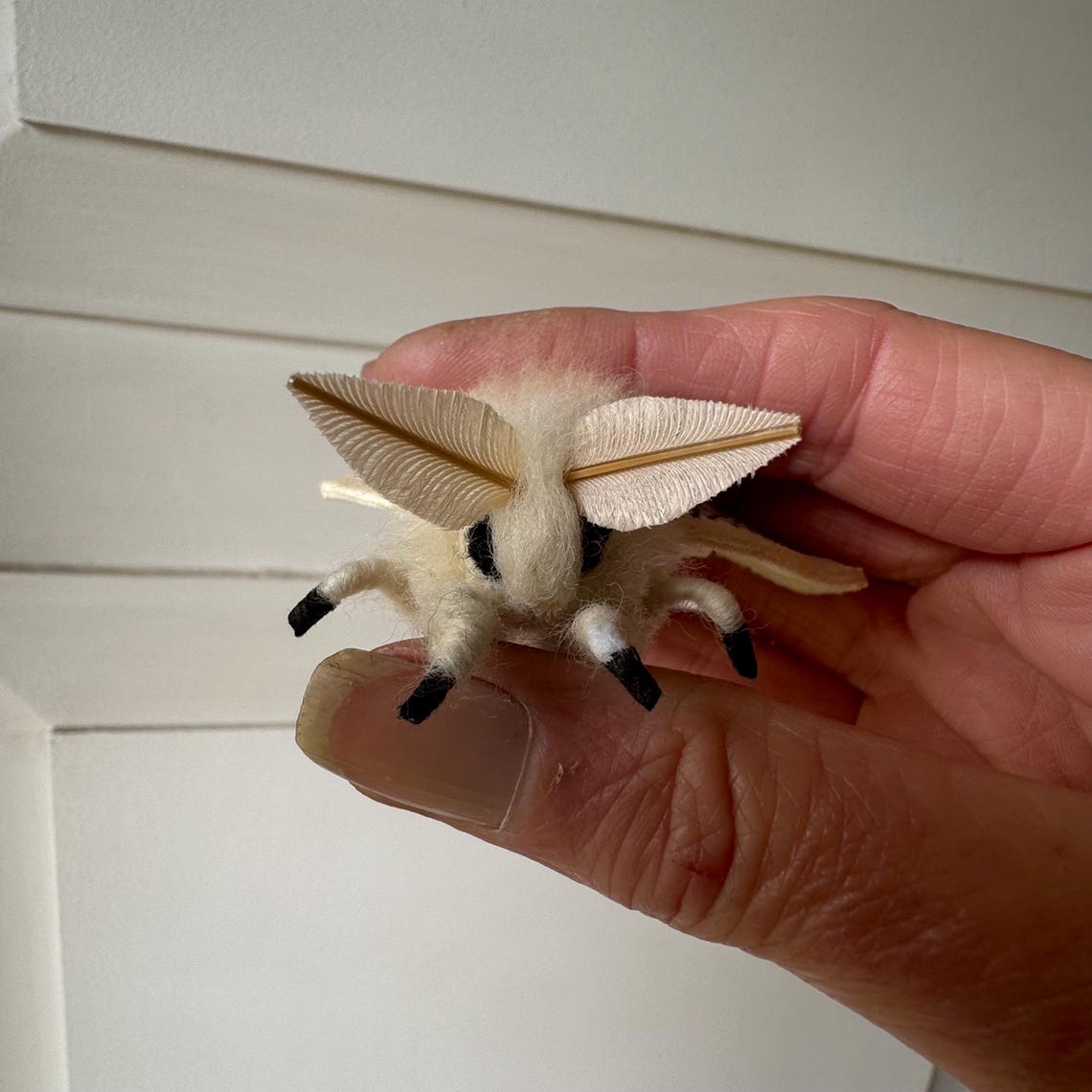 Black Waved Flannel Moth , Needle Felted, Moth Figurine, Decoration ...