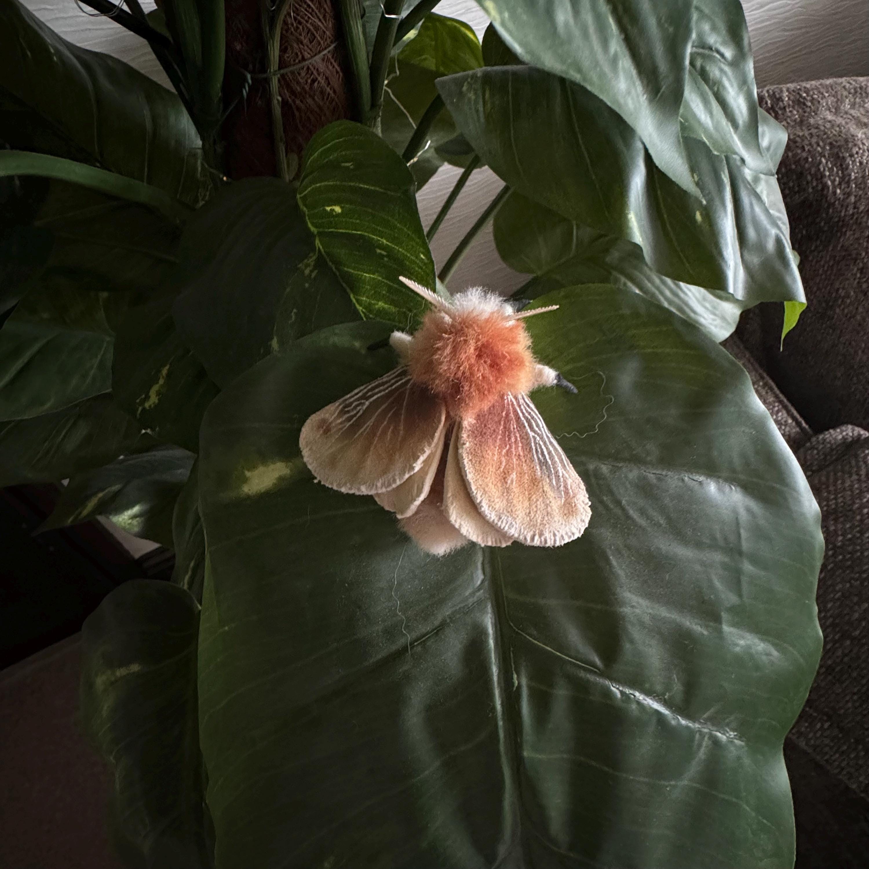 Needle Felted Southern Flannel Moth Figurine: Posable Wool Decoration ...