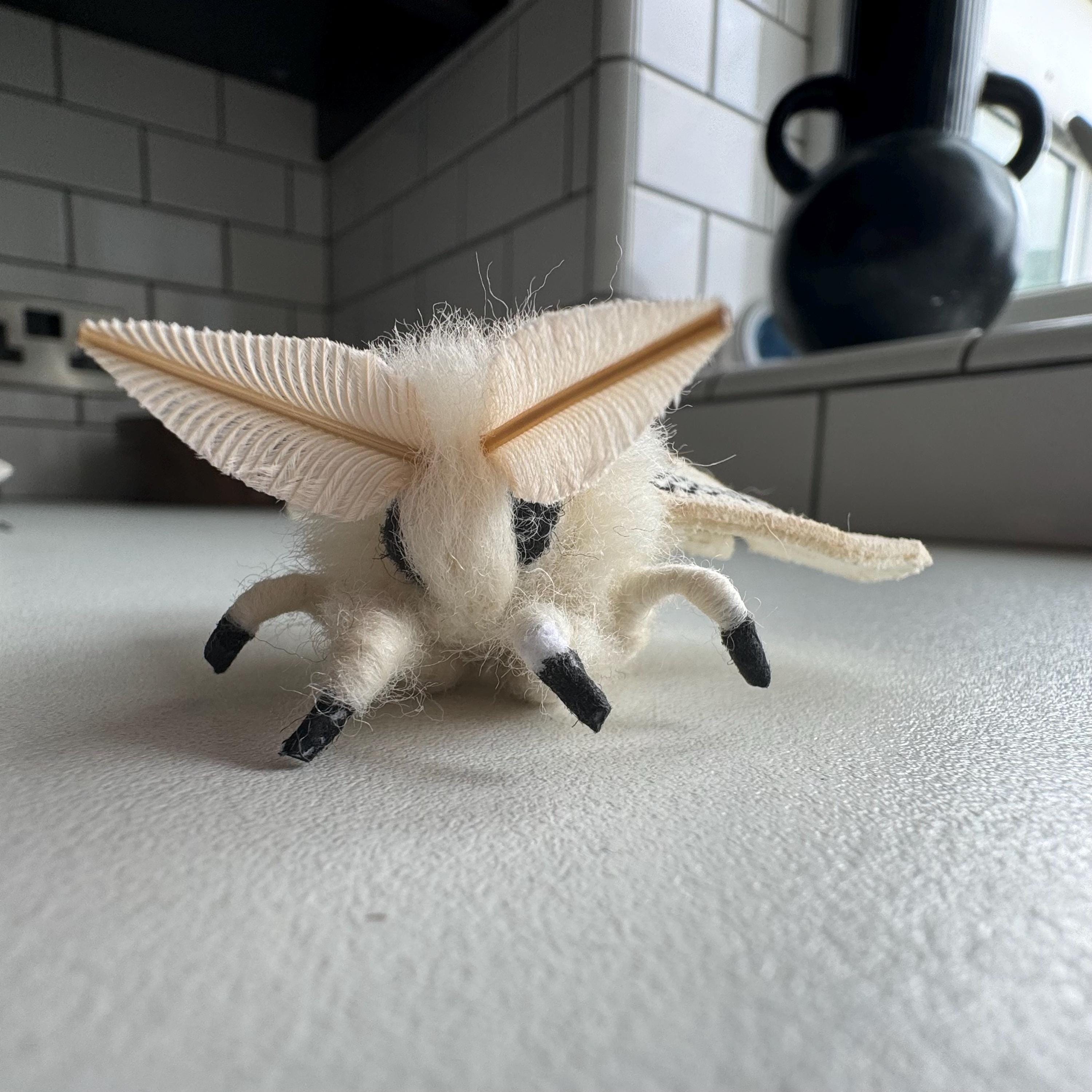 Black Waved Flannel Moth , Needle Felted, Moth Figurine, Decoration ...