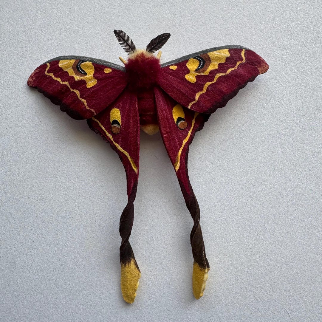 Sulawesi Moon Moth , Needle Felted, Moth Figurine, Decoration, Handmade ...