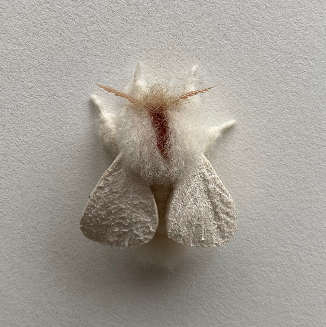 Long-tailed Bombyx, Night Angels, Needle Felted, Moth Decoration, Moth ...