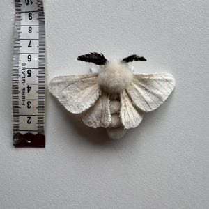 Needle Felted Silk Moth Figurine: Posable Handmade Decoration - Etsy