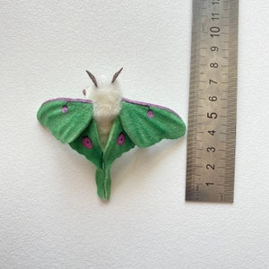 Luna Moth, True to Size, Needle Felted, Posable, Suede,moth Figurine ...