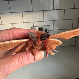 Hercules Moth , Needle Felted, Moth Figurine, Decoration, Handmade ...