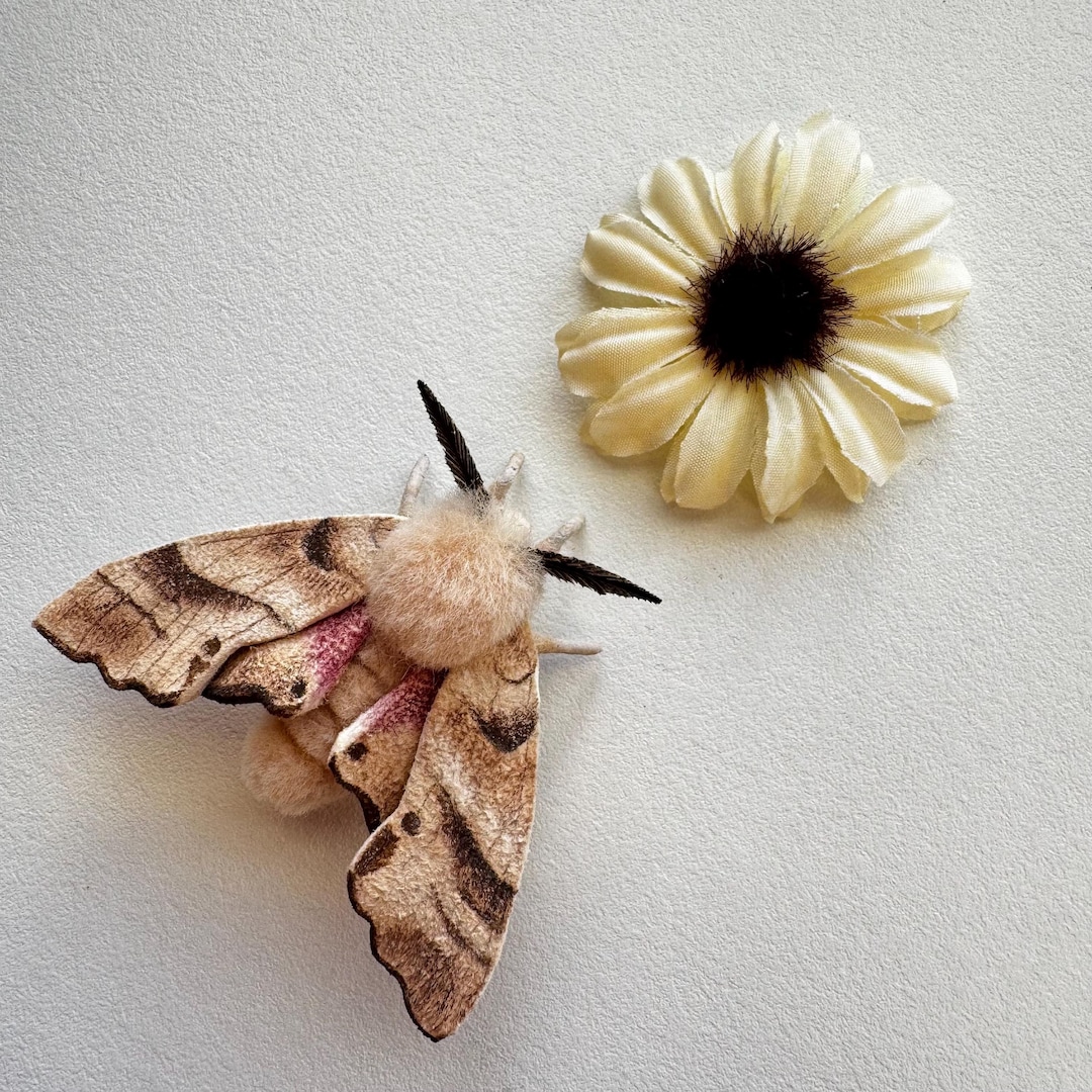 Needle Felted Oak Hawk Moth Figurine: Posable Handmade Decoration - Etsy