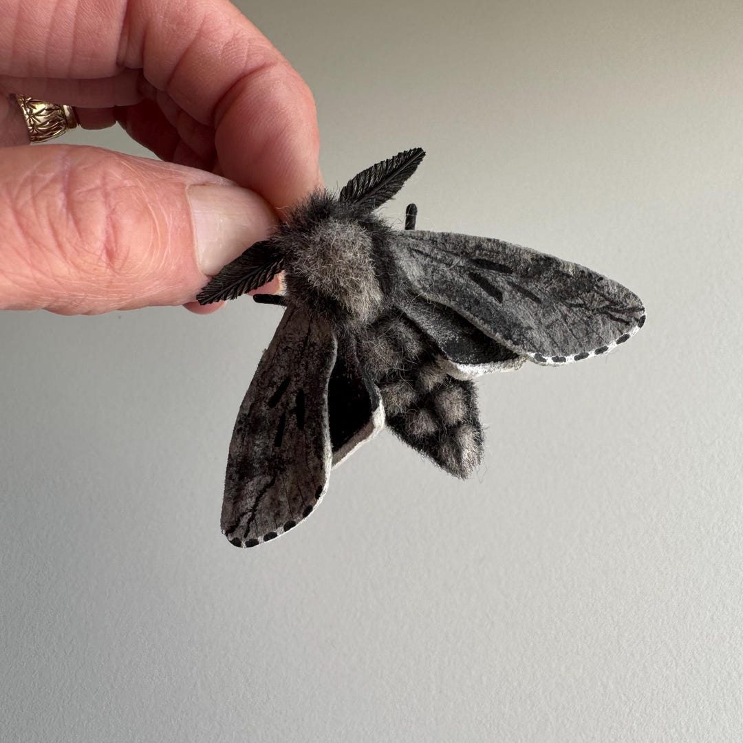 Pine Hawk Moth, Needle Felted, Moth Figurine, Decoration, Handmade ...