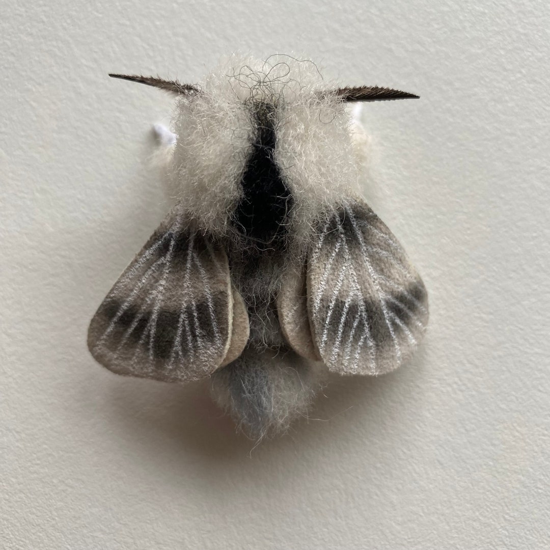 Tolype Moth, Needle Felted, Moth Figurine, Lil Buddy,moth Lovers, Moth ...