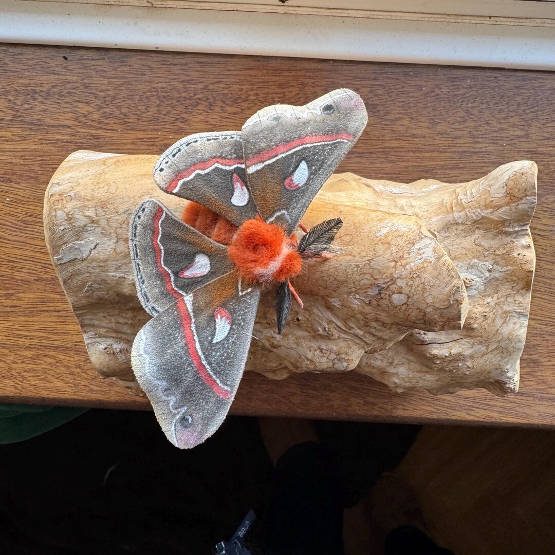 Cecropia Moth, Needle Felted, Moth Figurine, Decoration, Handmade ...