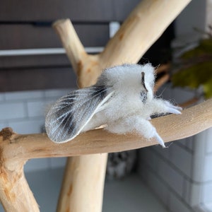 Needle Felted Tolype Moth Figurine: Handmade Posable Moth Decoration - Etsy