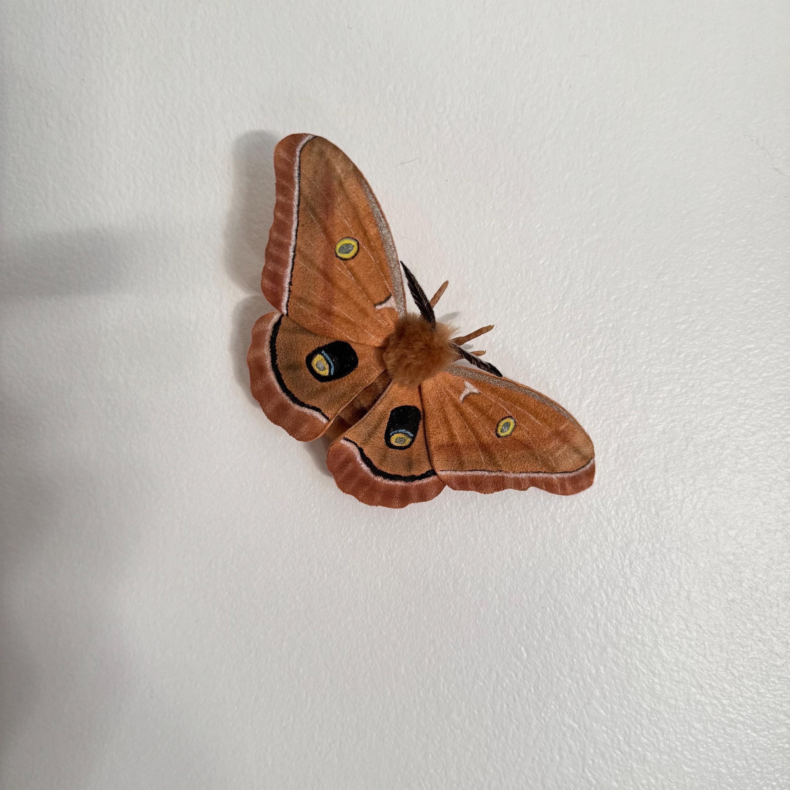Polyphemus Moth, Needle Felted, Moth Figurine, Decoration, Handmade ...