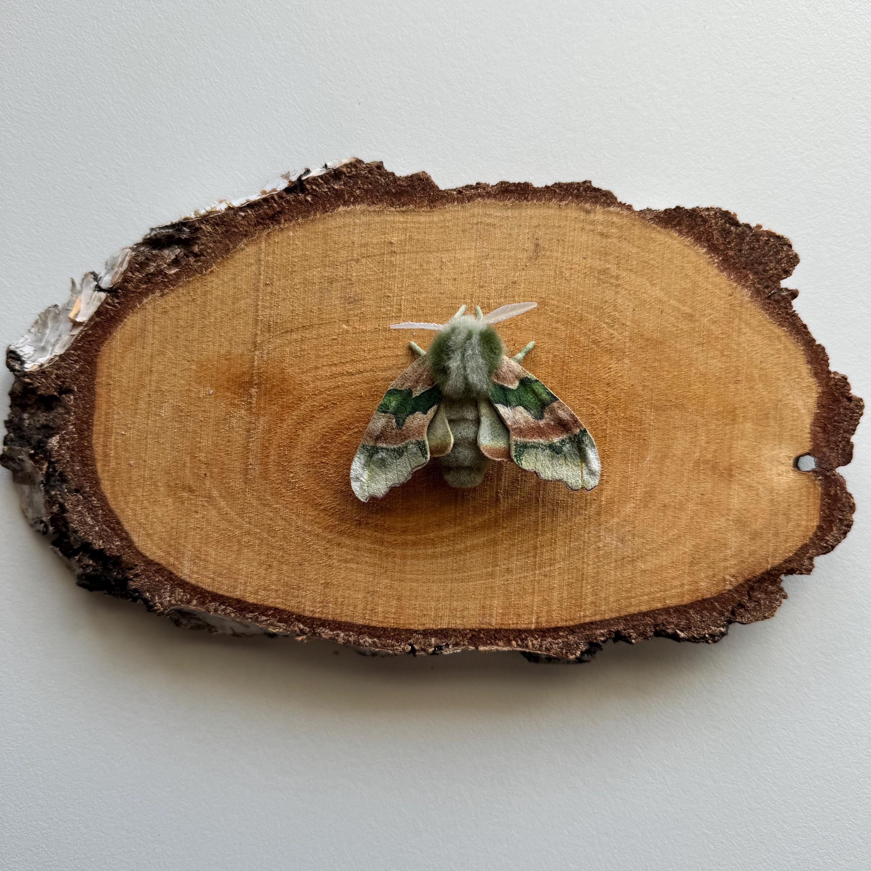 Lime Hawk Moth, Needle Felted Figurine, Handmade Posable Decoration ...
