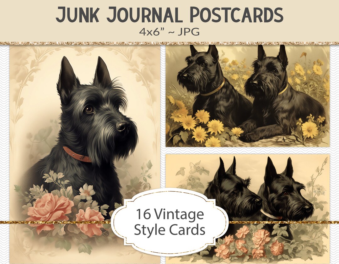 Scottish Terrier Vintage Style Postcards, 4x6 Victorian Era Style ...