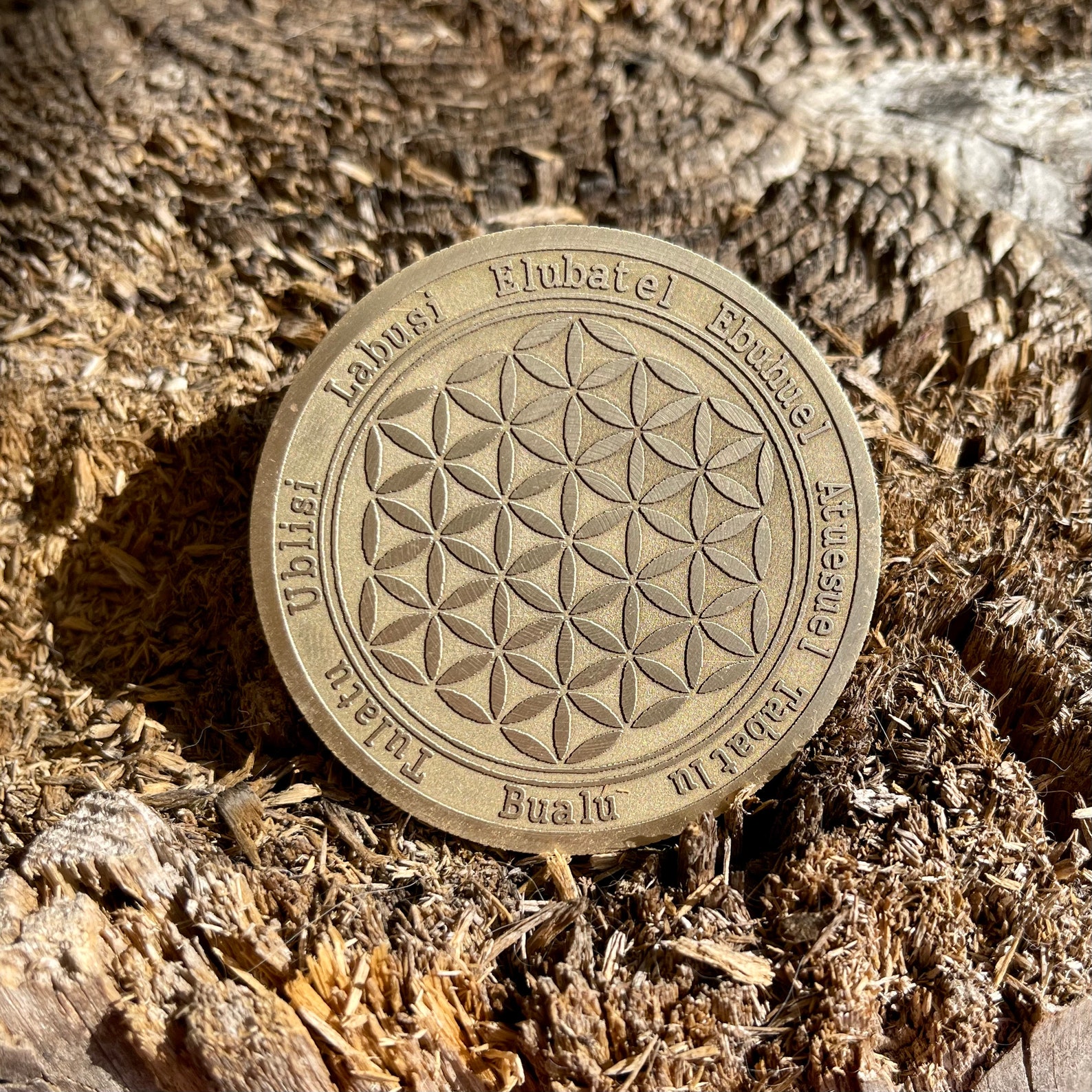 CUSTOM COIN || Souvenir Coin | Pocket Token 70 Mm (2.75 Inch) - Etsy