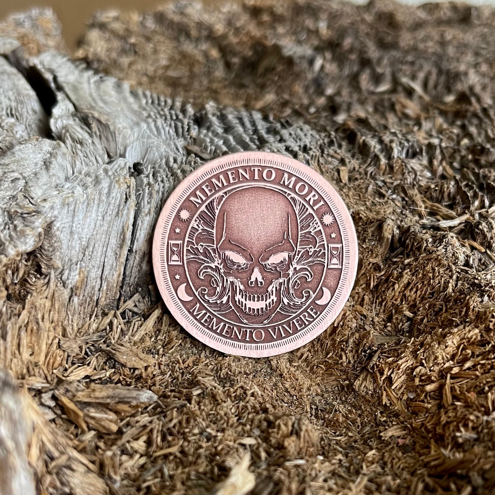 MEMENTO MORI Coin || Memento Vivere Coin || Stoic Coin || Reminder Coin ...