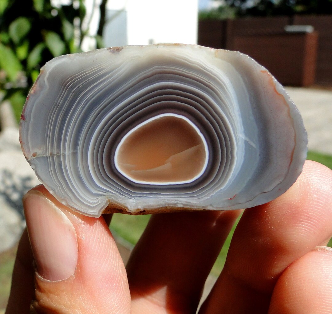 Over 2" - Natural Colorful "peacock Feather" AGATE - Bobonong, Botswana ...