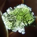 Over 2g Powerful Real Green Tektite MOLDAVITE 100% Natural - Etsy