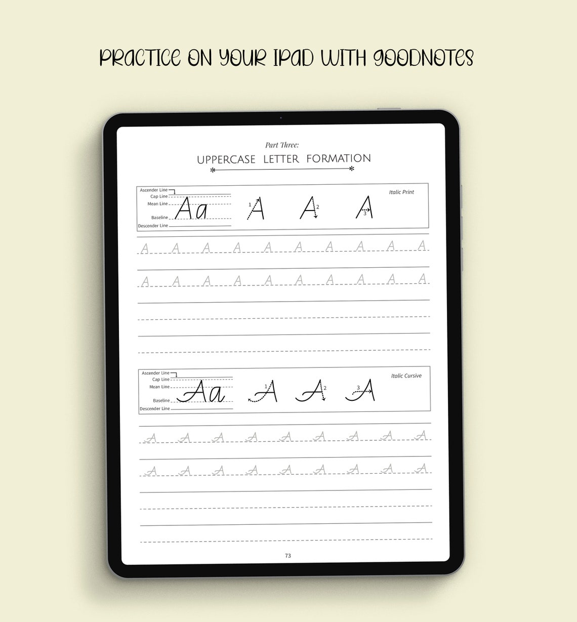 ITALIC HANDWRITING WORKBOOK Transitioning From Italic Print - Etsy