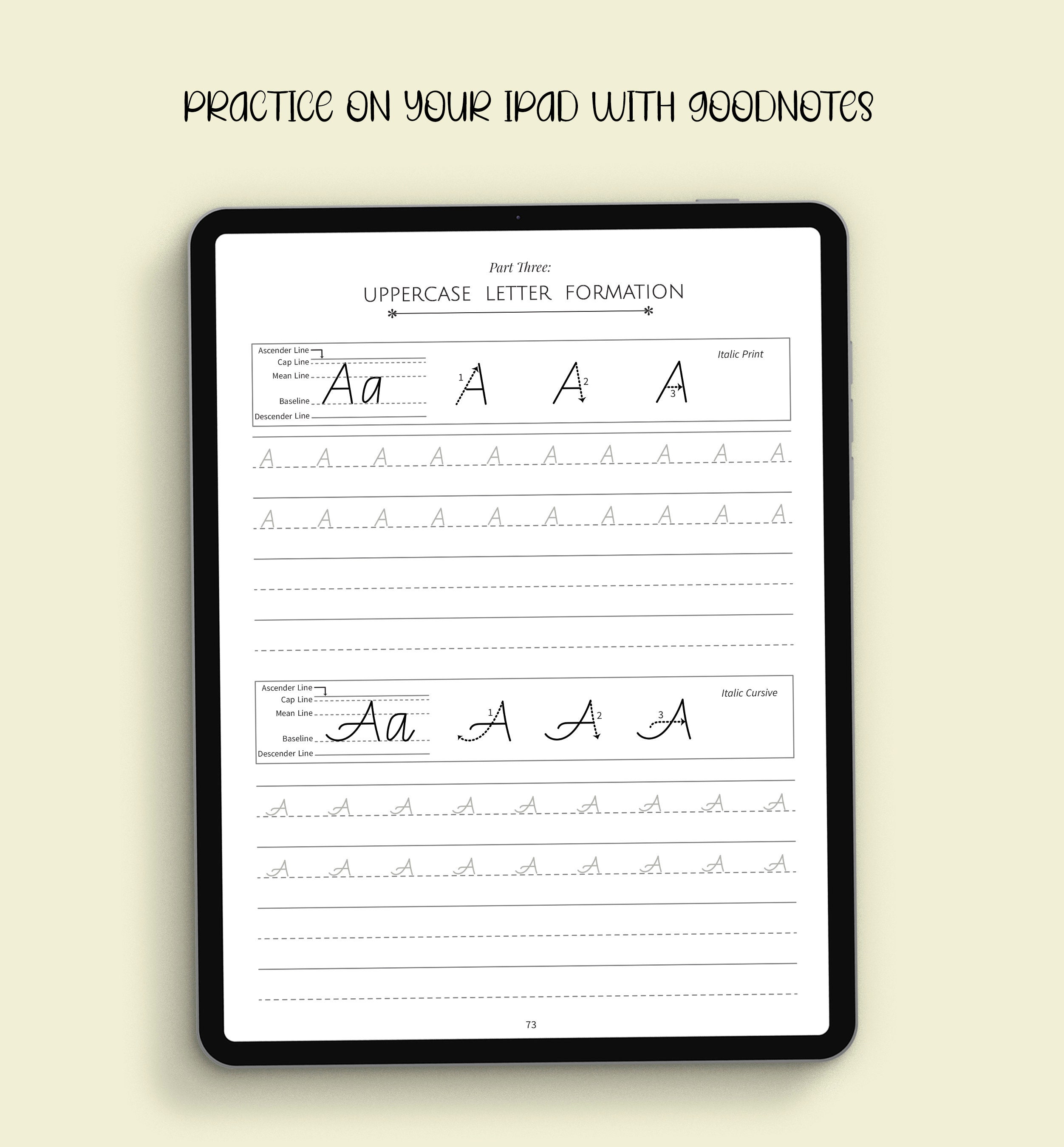 ITALIC HANDWRITING WORKBOOK Transitioning From Italic Print - Etsy