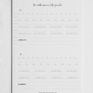 Bernadette Handwriting Worksheets, PRINTABLE Lowercase and Uppercase ...