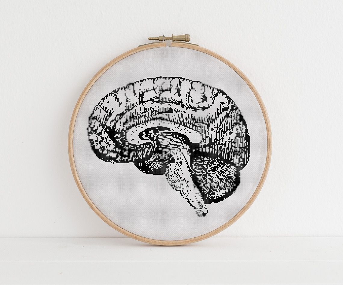 Brain Dissection Cross Stitch Pattern Counted X Stitch Anatomy - Etsy