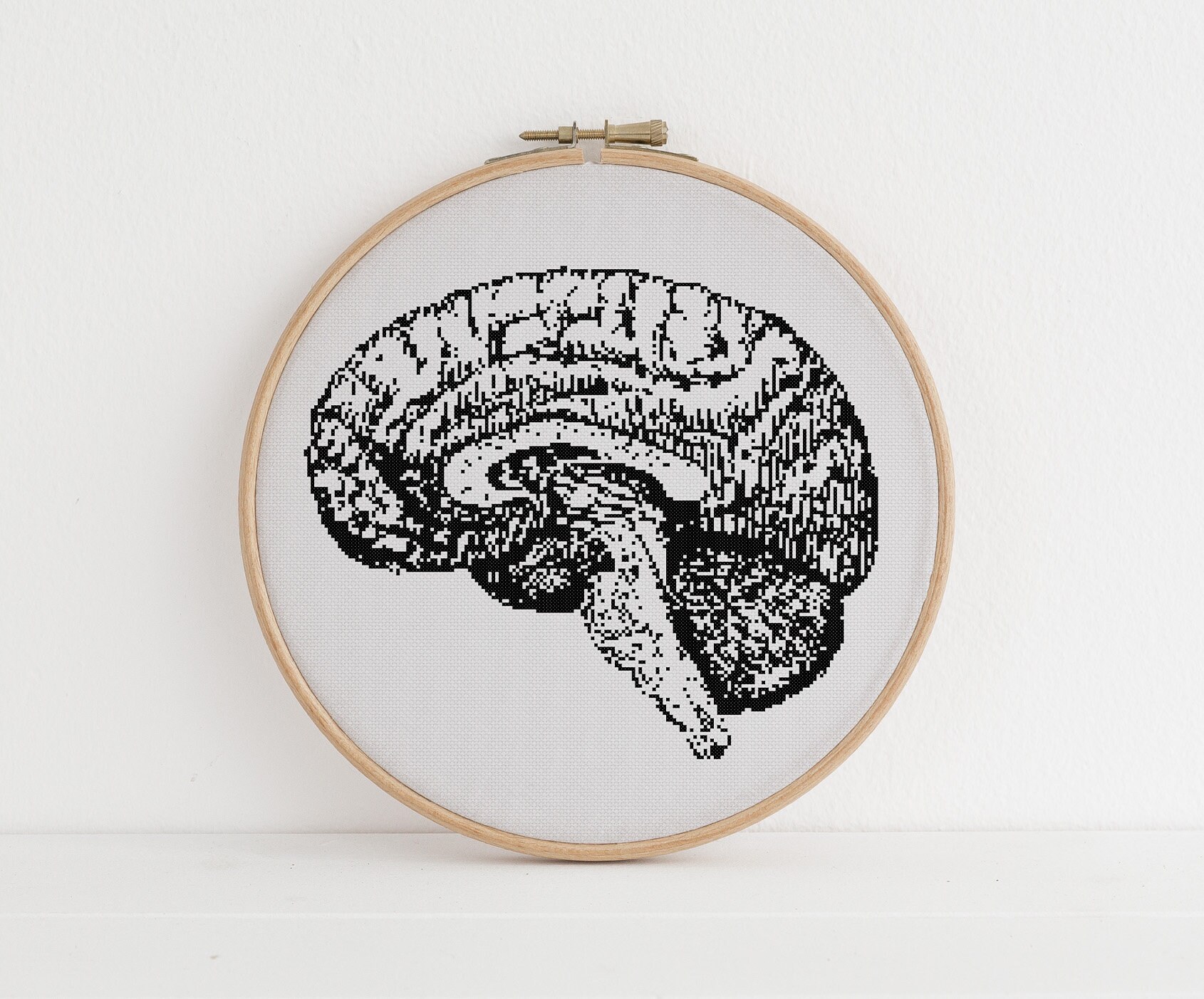 Brain Dissection Cross Stitch Pattern Counted X Stitch Anatomy | Etsy UK