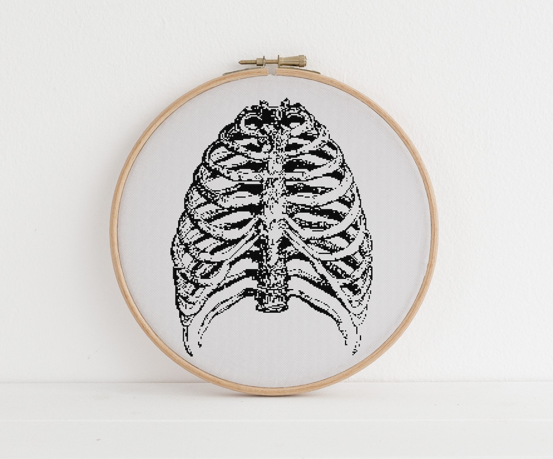 Ribcage Rib Cage Cross Stitch Pattern Counted X Stitch Anatomy - Etsy