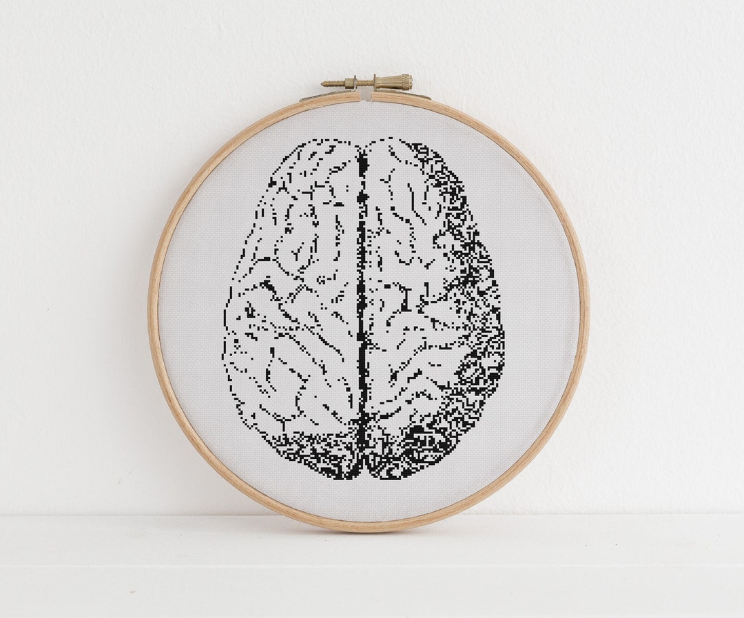 Anatomical Brain Cross Stitch Pattern Counted X Stitch Anatomy - Etsy