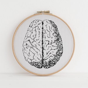 Anatomical Brain Cross Stitch Pattern Counted X Stitch Anatomy - Etsy
