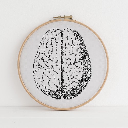 Brain Dissection Cross Stitch Pattern Counted X Stitch Anatomy - Etsy