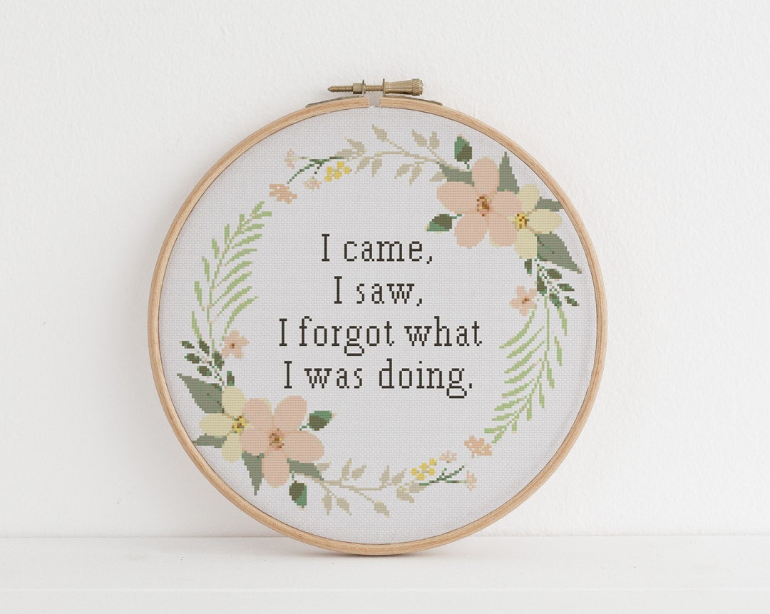 I Came, I Saw, I Forgot What I Was Doing Cross Counted Stitch Xstitch ...