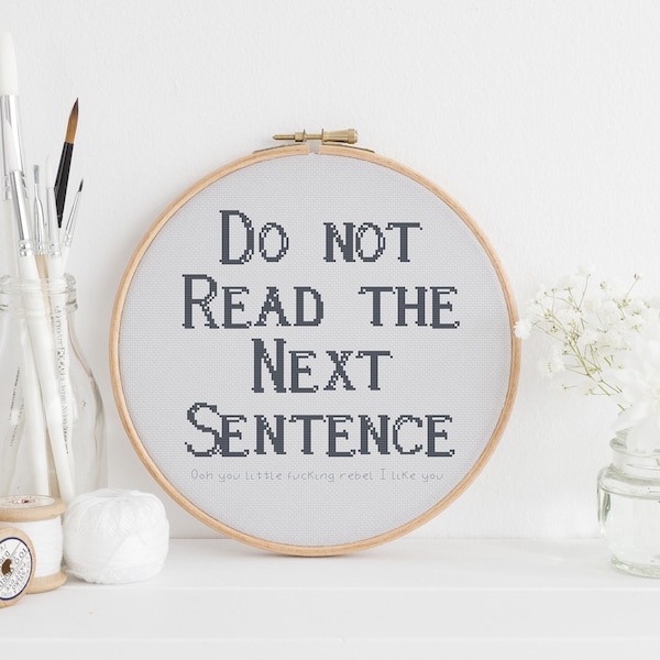 Rude Cross Stitch Pattern - Etsy UK