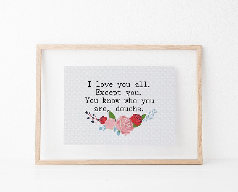 I Love You All Except You Counted Cross Stitch Xstitch Funny - Etsy