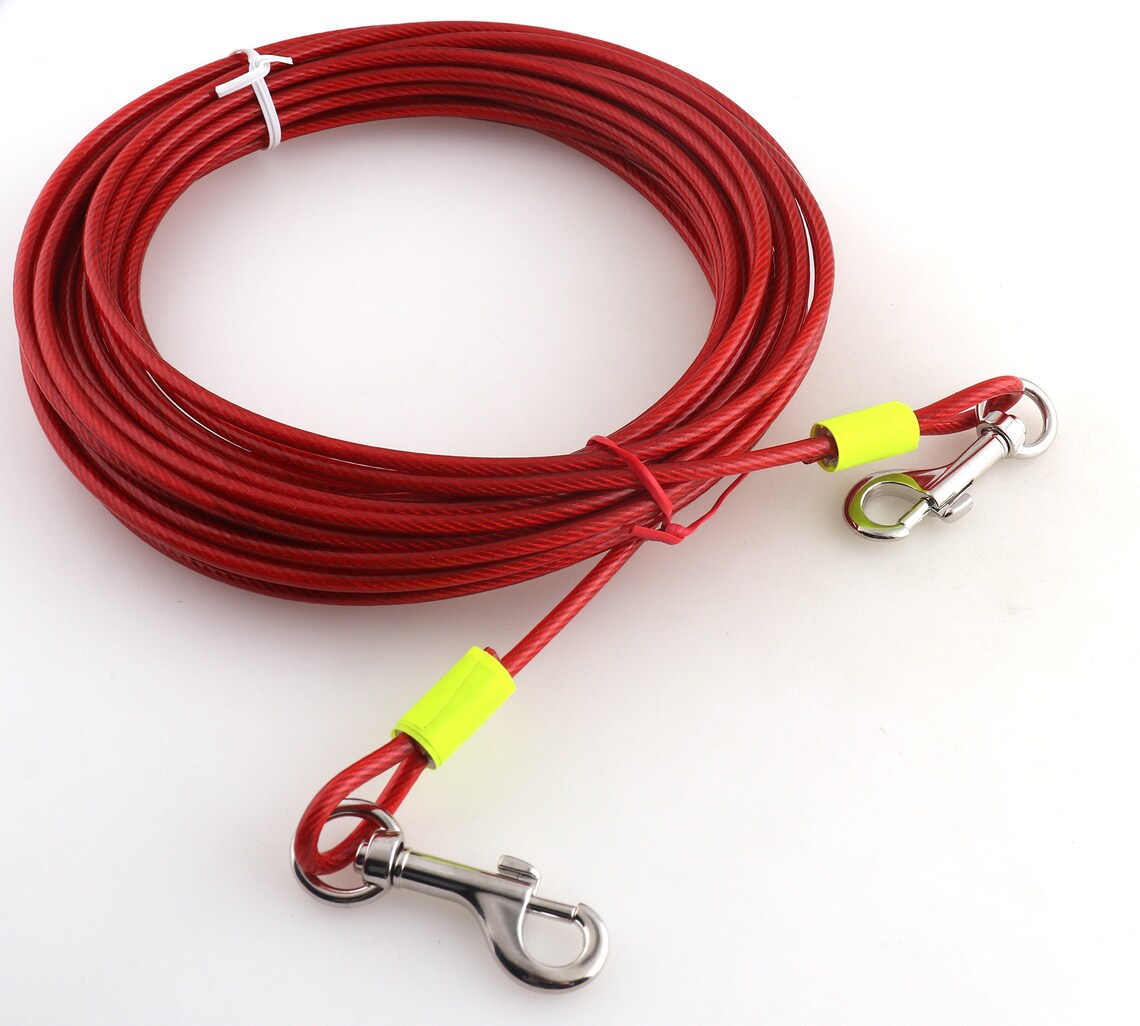 Blue Tie Out Cable for Dogs Lead Secure Wire Leash Steel Dog | Etsy