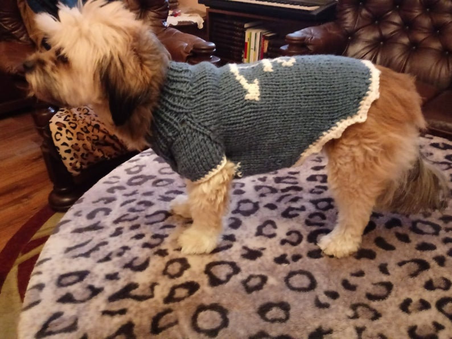 Shih Tzu Sweater Crochet Dog Sweater pet Sweaterdog - Etsy