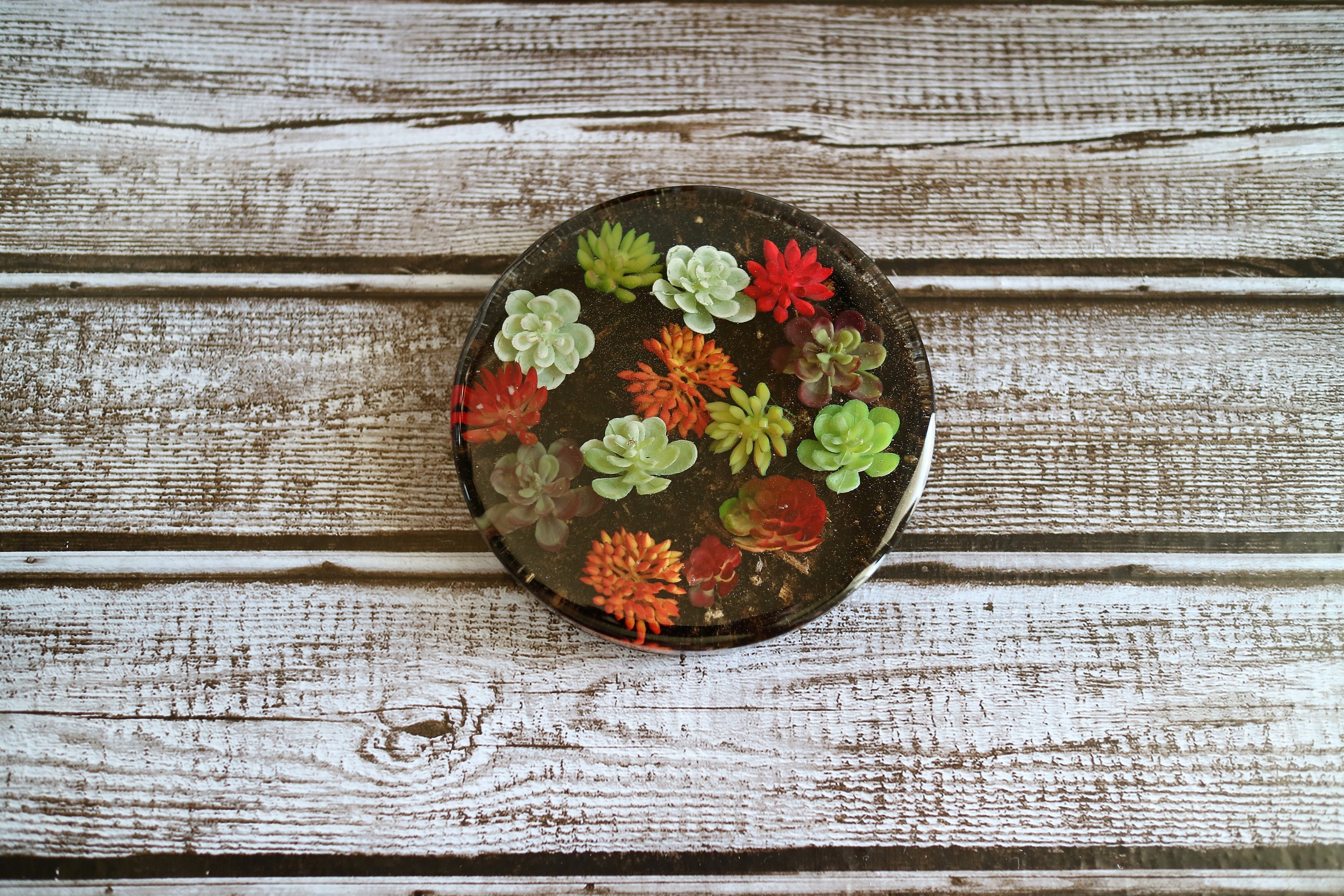 Succulent Garden Coaster Handmade With Resin and Real Soil - Etsy