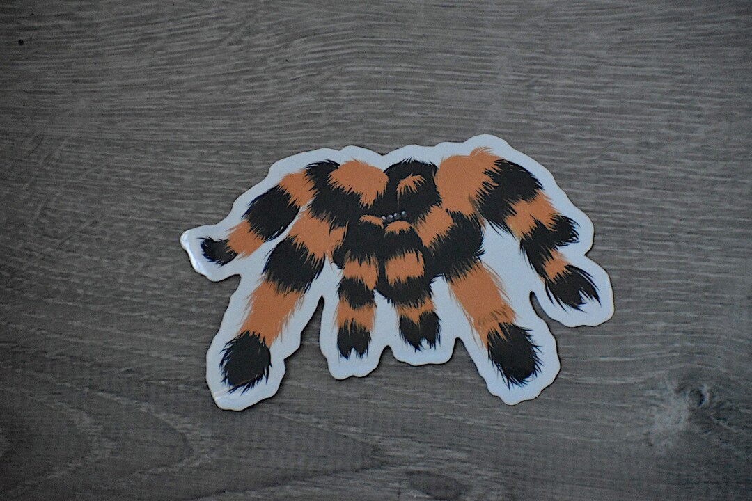 The “spiders Aren’t THAT Scary” Sticker - Etsy