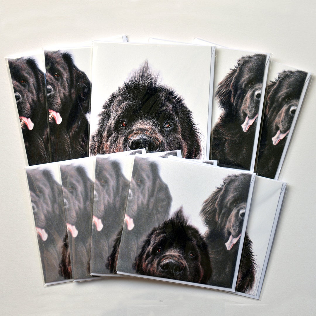 Pack of 10 Newfoundland Dog Cards "the Girls" Pack of 10 Mixed Cards ...