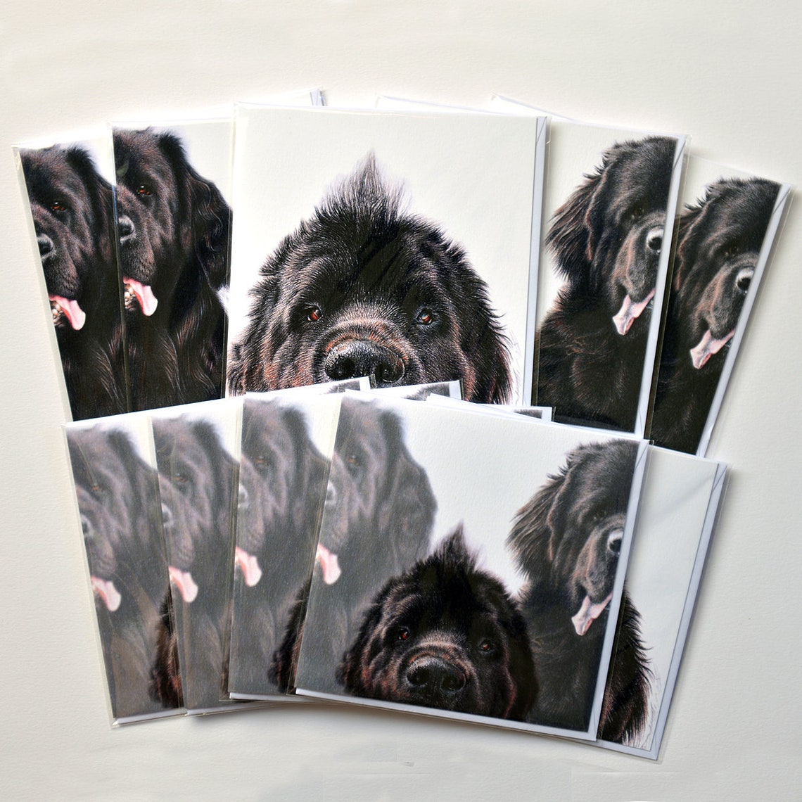 Pack of 10 Newfoundland Dog Cards "the Girls" Pack of 10 Mixed Cards ...
